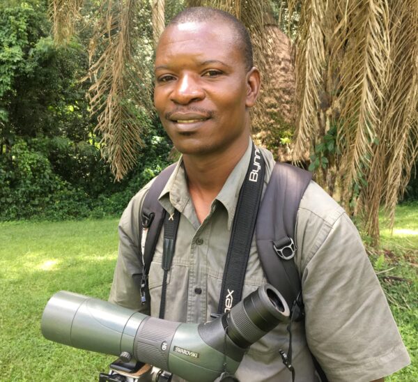 Gorilla Trekking | Domestic Tourism | Uganda Wildlife Safari